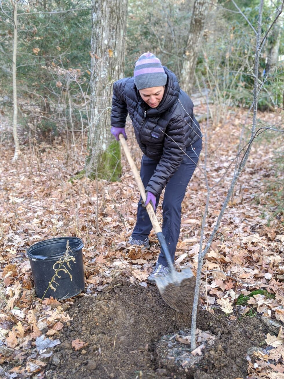 Volunteer | Southern Highlands Reserve